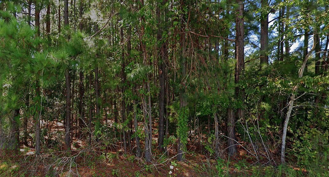 Base Hill Rd, Hopkins, SC 29061 | LandWatch