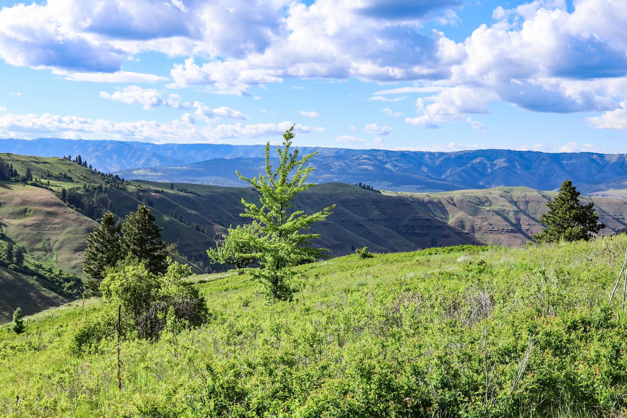 OR-3, Enterprise, OR 97828 | MLS: 98880131 | LandWatch