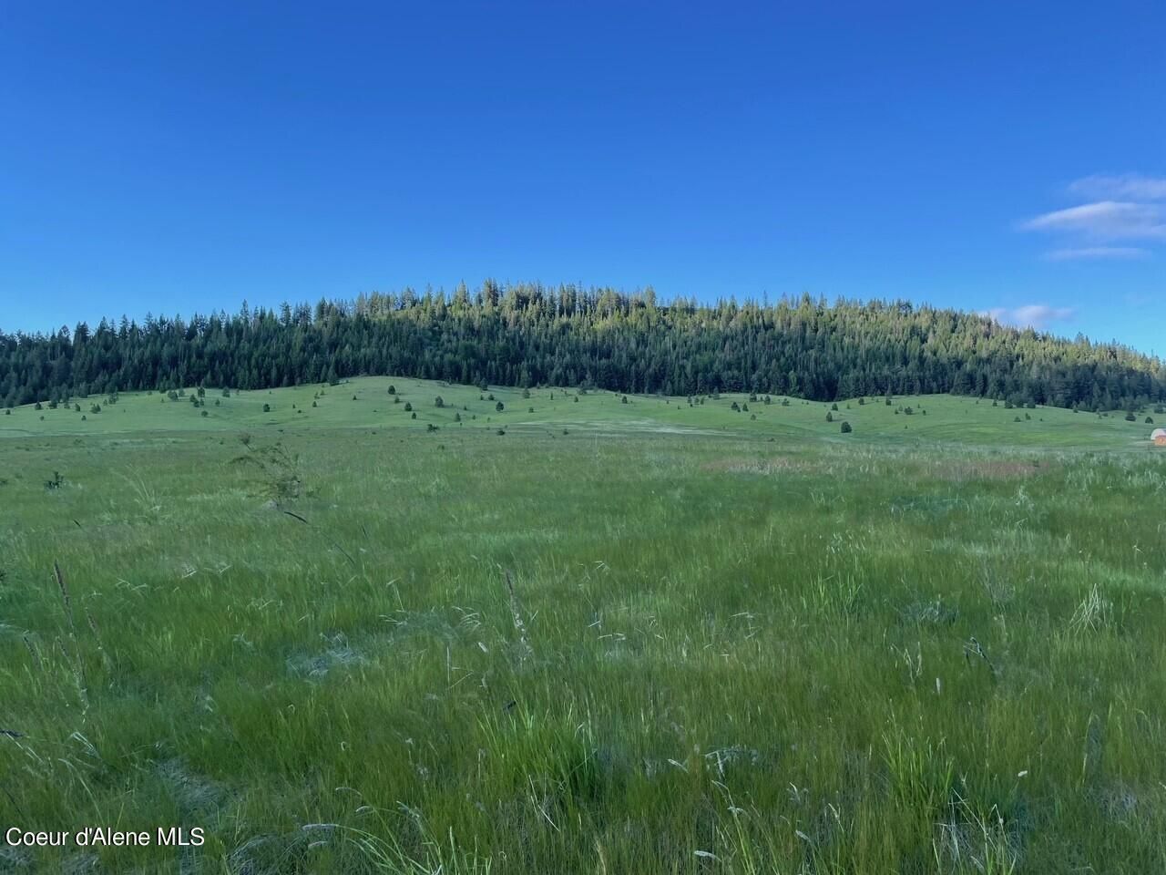 Lot B Merideth Rd, Plummer, ID 83851 | MLS: 24-4756 | LandWatch