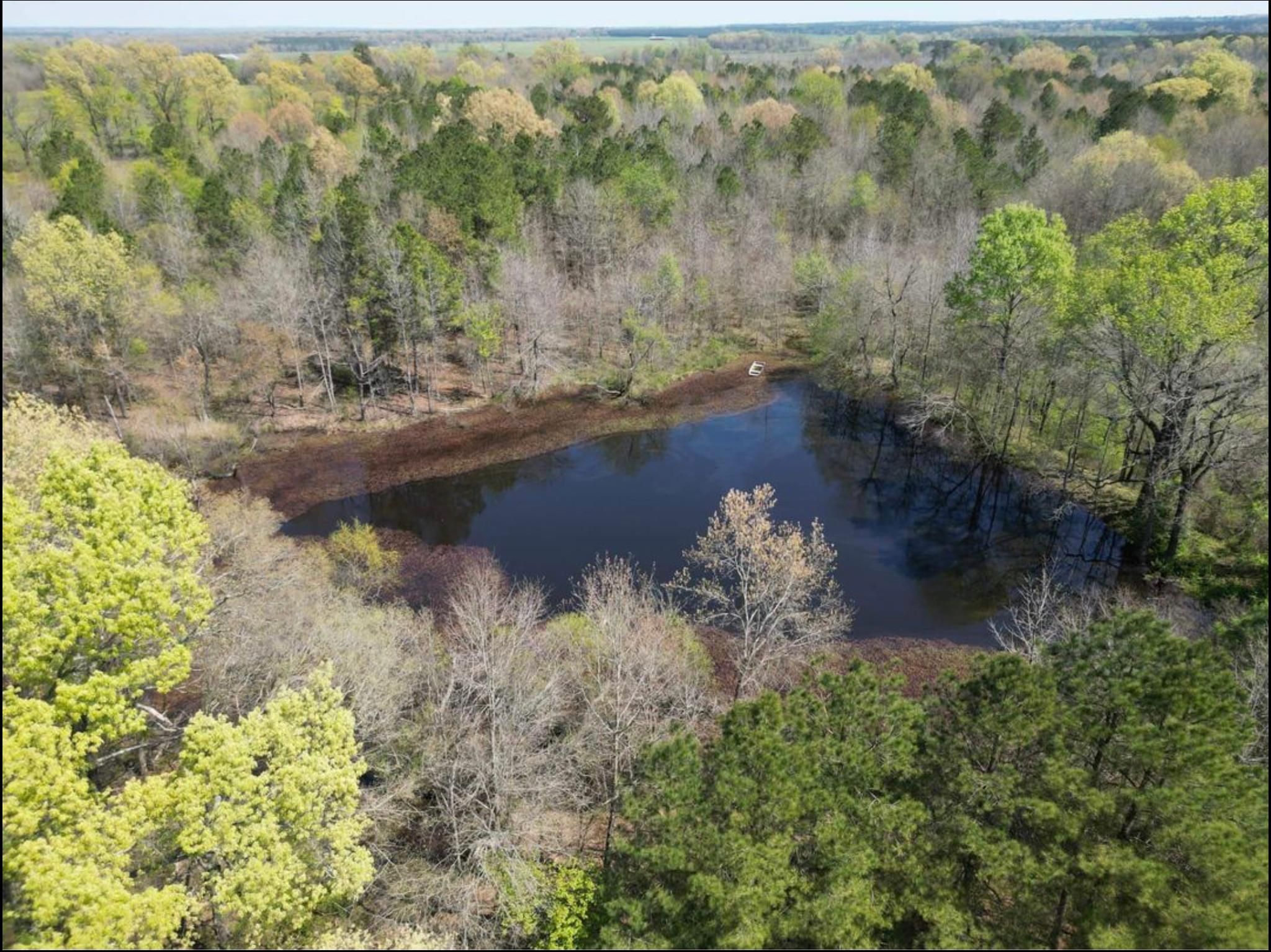 36.32 acres in Emmet, AR, 71835 | LandWatch
