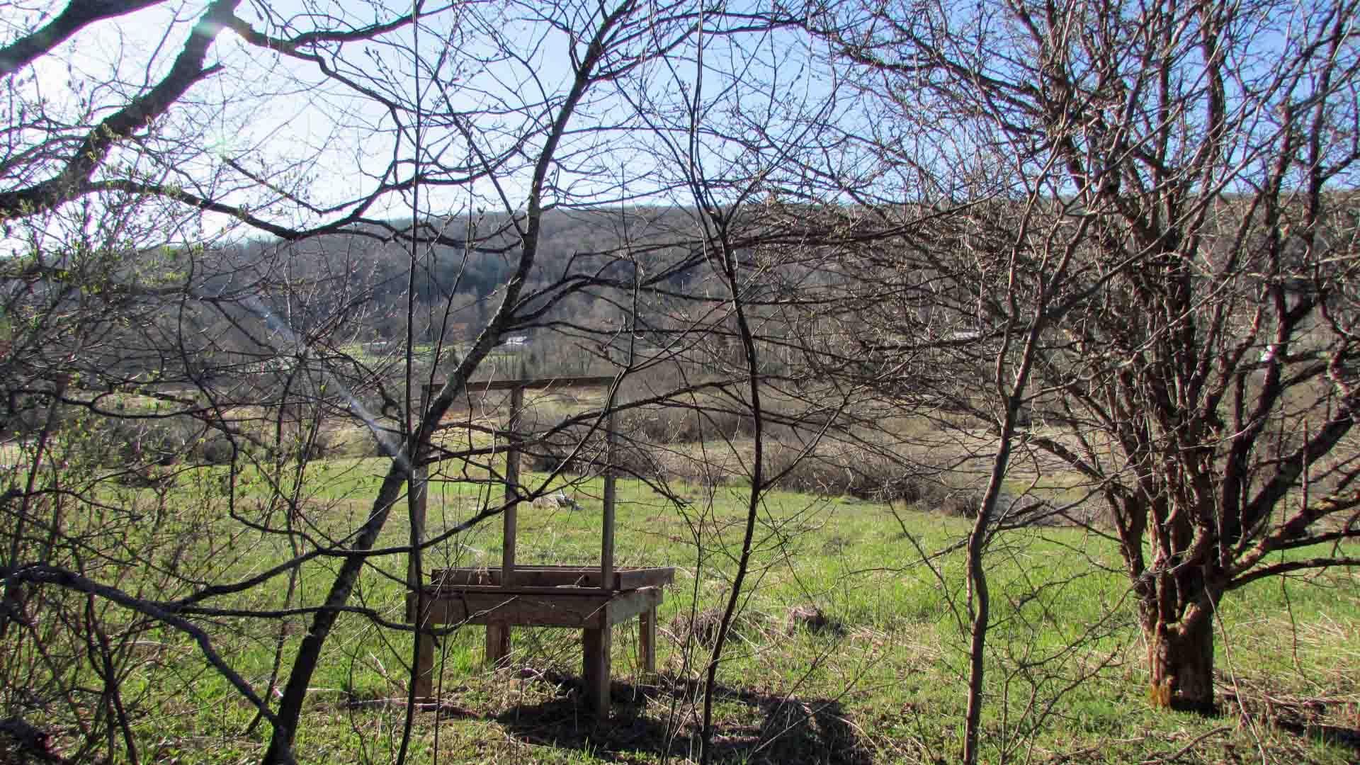 142 Sam Lape Road, Summit, NY 12175 | MLS: 111.-2-11.111 | LandWatch