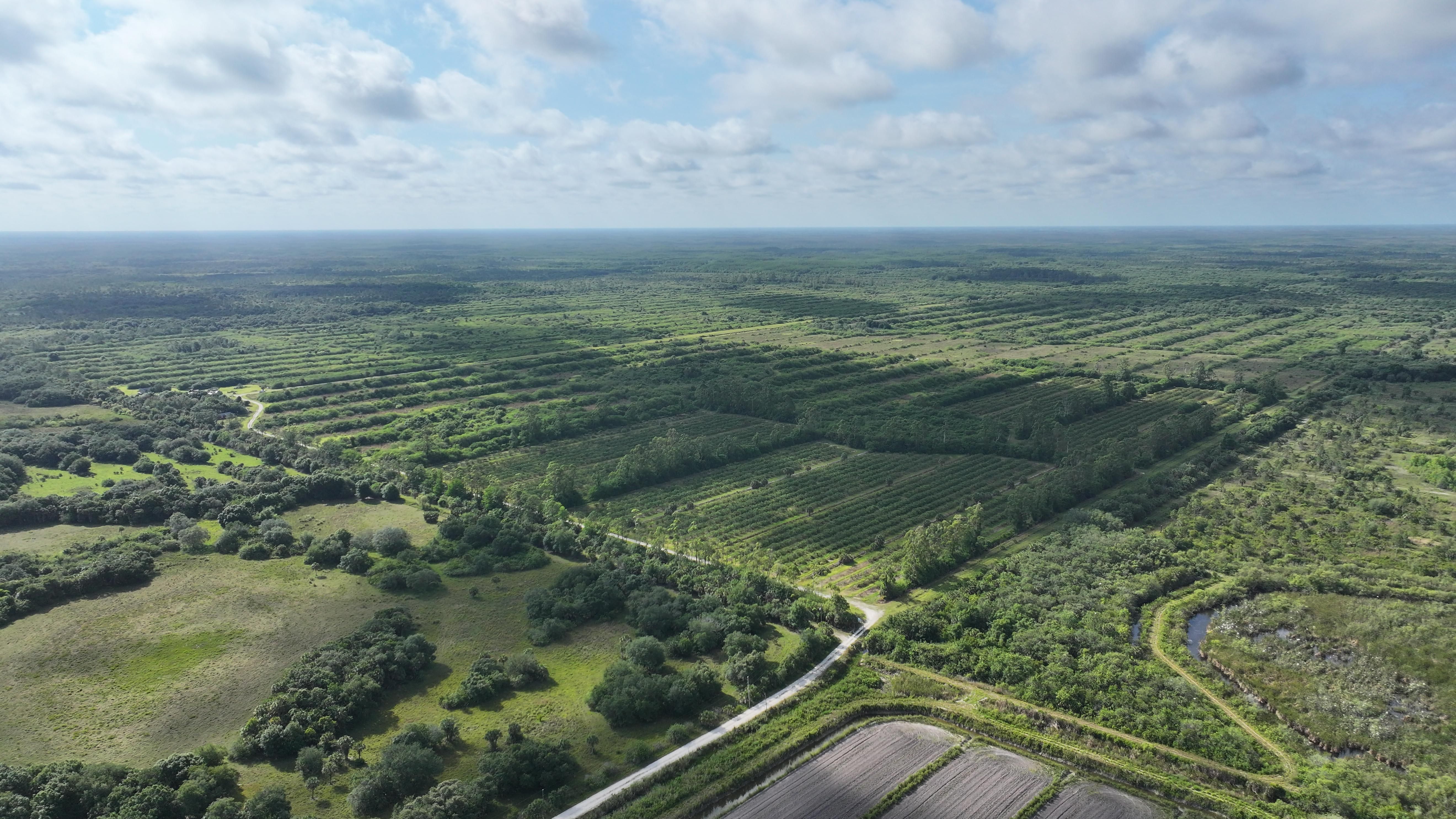 1,280 acres in Immokalee, FL, 34142 | LandWatch