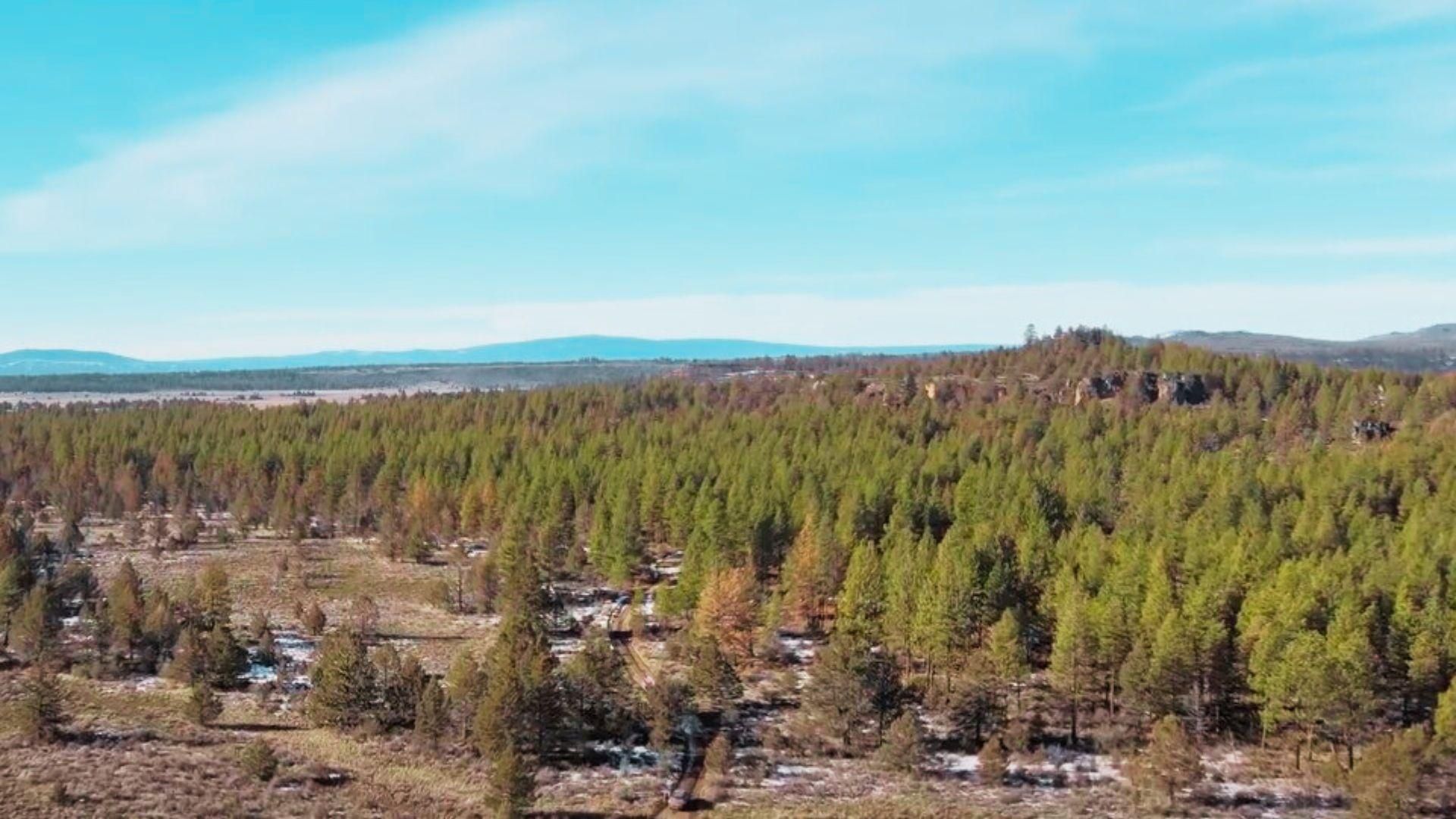 10 acres in Modoc Point, OR, 97624 | MLS: R323340 | LandWatch