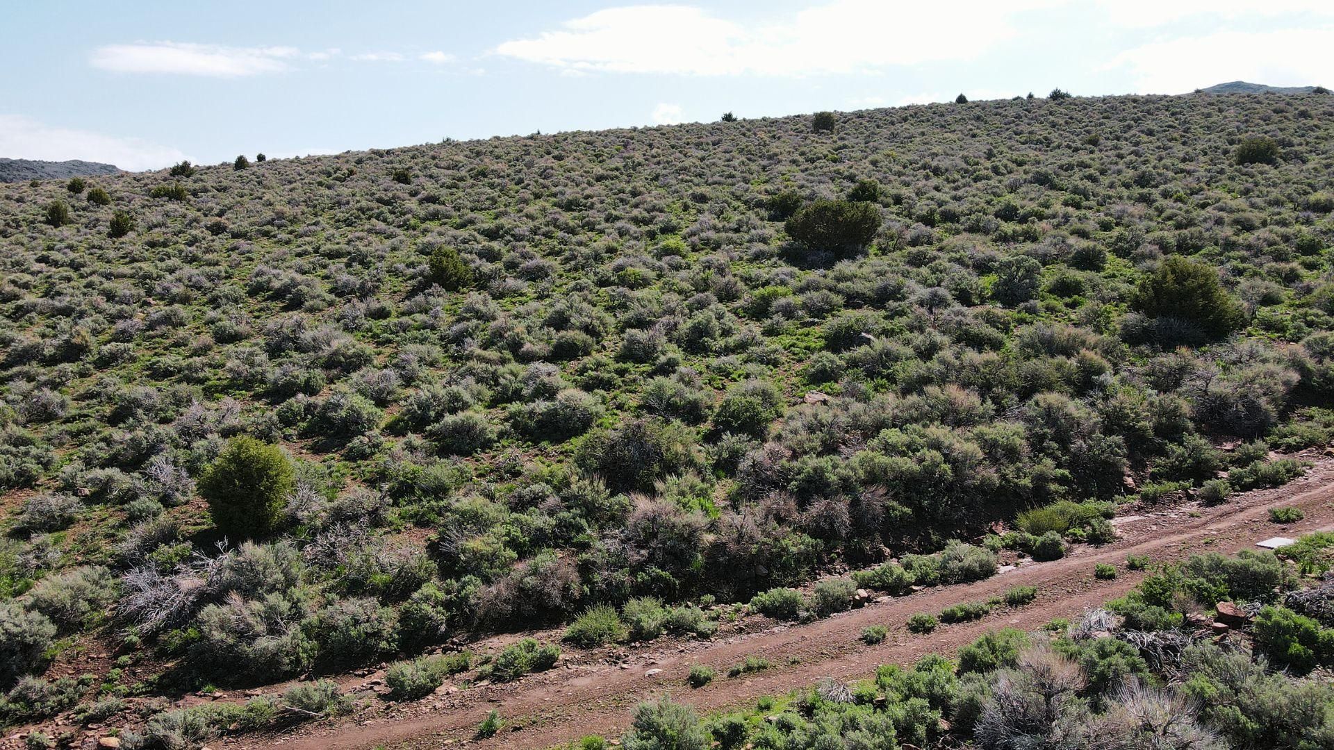 0 Pond Peak Rd, Olinghouse, NV 89510 | MLS: 077-470-09 | LandWatch