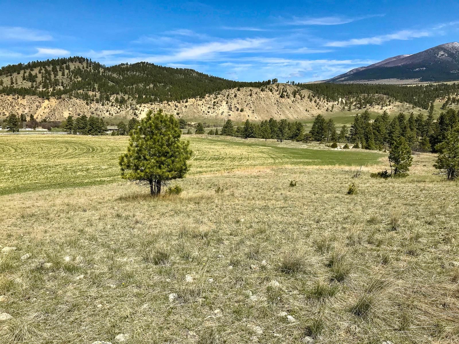 256 acres in Townsend, MT, 59644 | MLS: Grandview Acreage | LandWatch