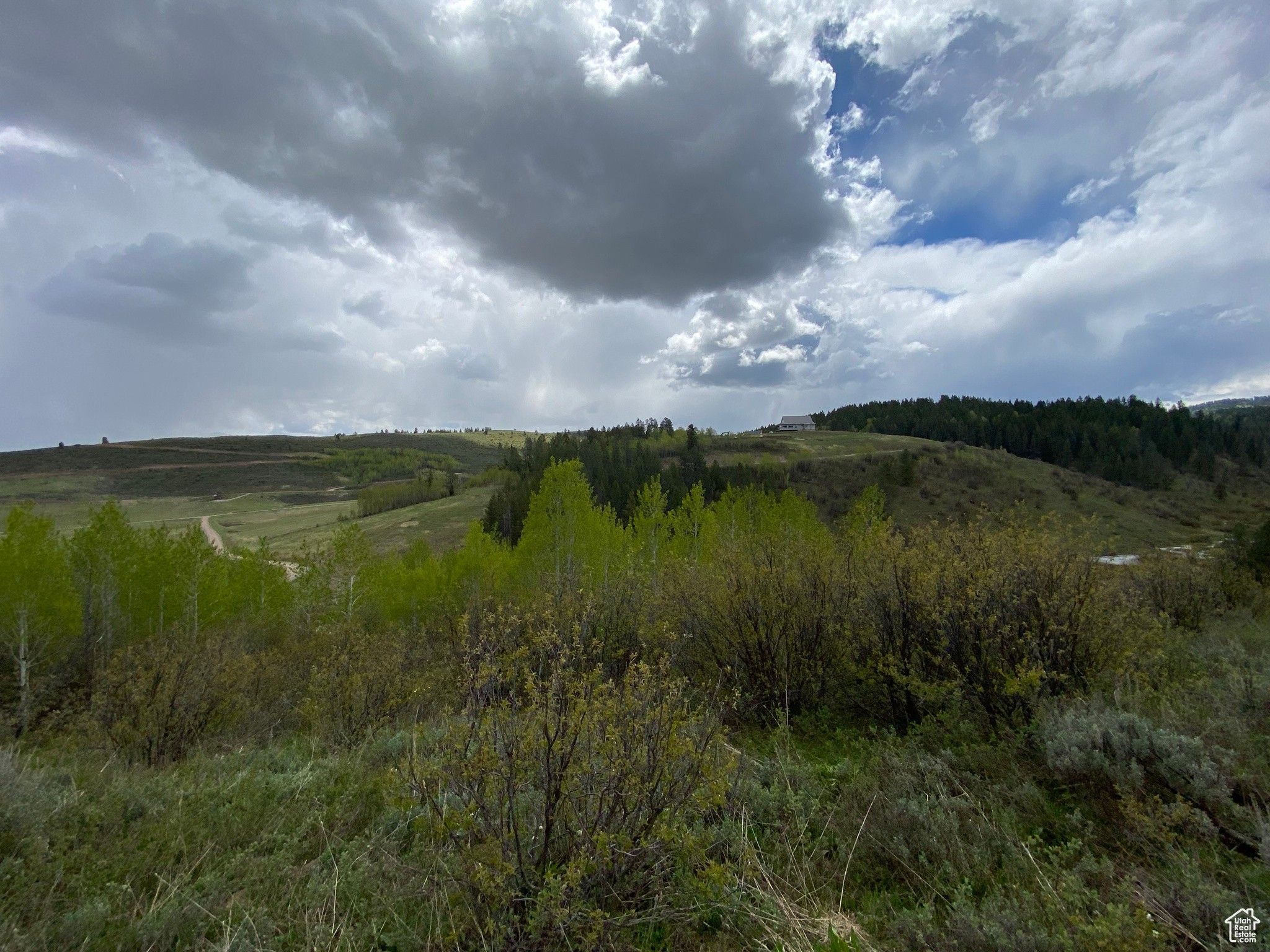 41 GROUSE LOOP, Freedom, WY 83120 | MLS: 2001845 | LandWatch