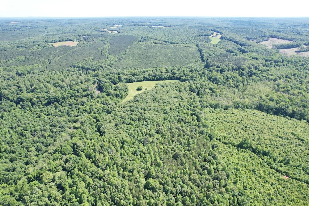 Logan Road, Lot#WP001, Java, VA 24565 | LandWatch