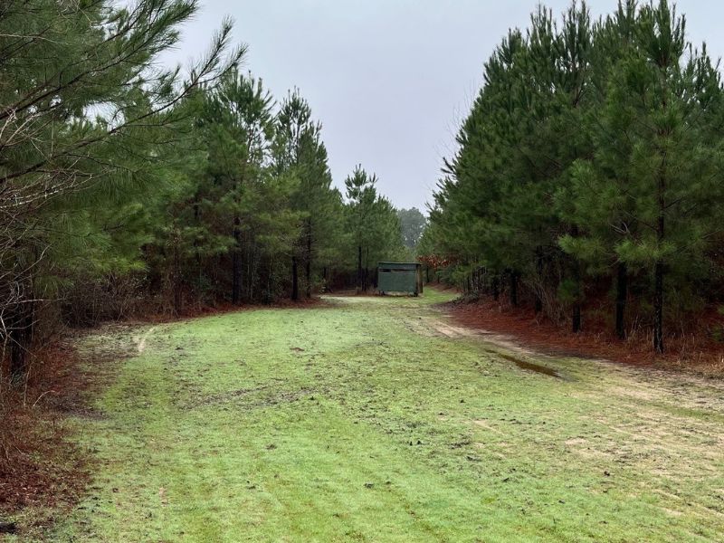 221 acres in Pineland, TX, 75930 | LandWatch