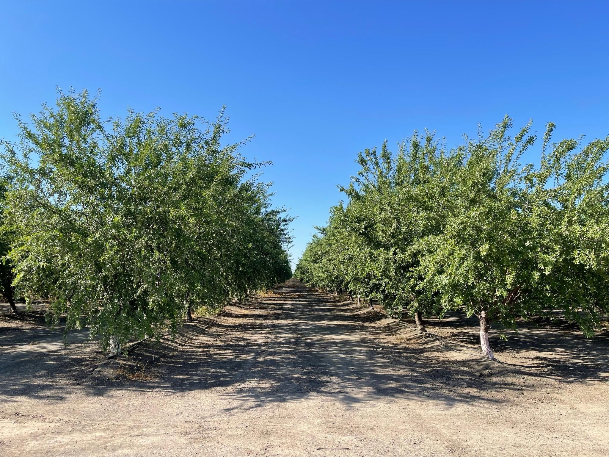 Btwn. Lone Tree & S. Gurr Roads, Merced, CA 95341 | LandWatch