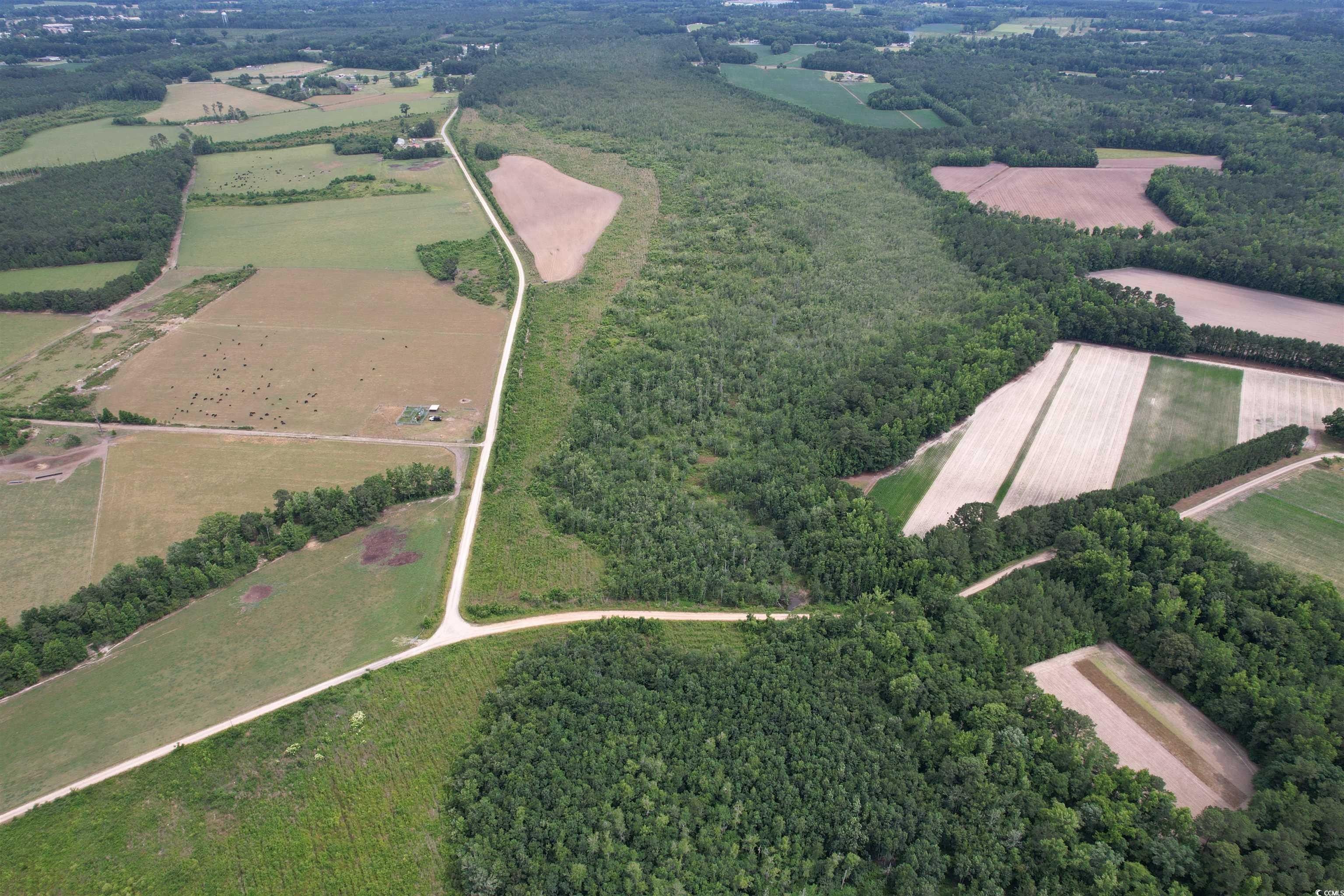 Hemingway, Williamsburg County, SC Undeveloped Land for sale Property ...