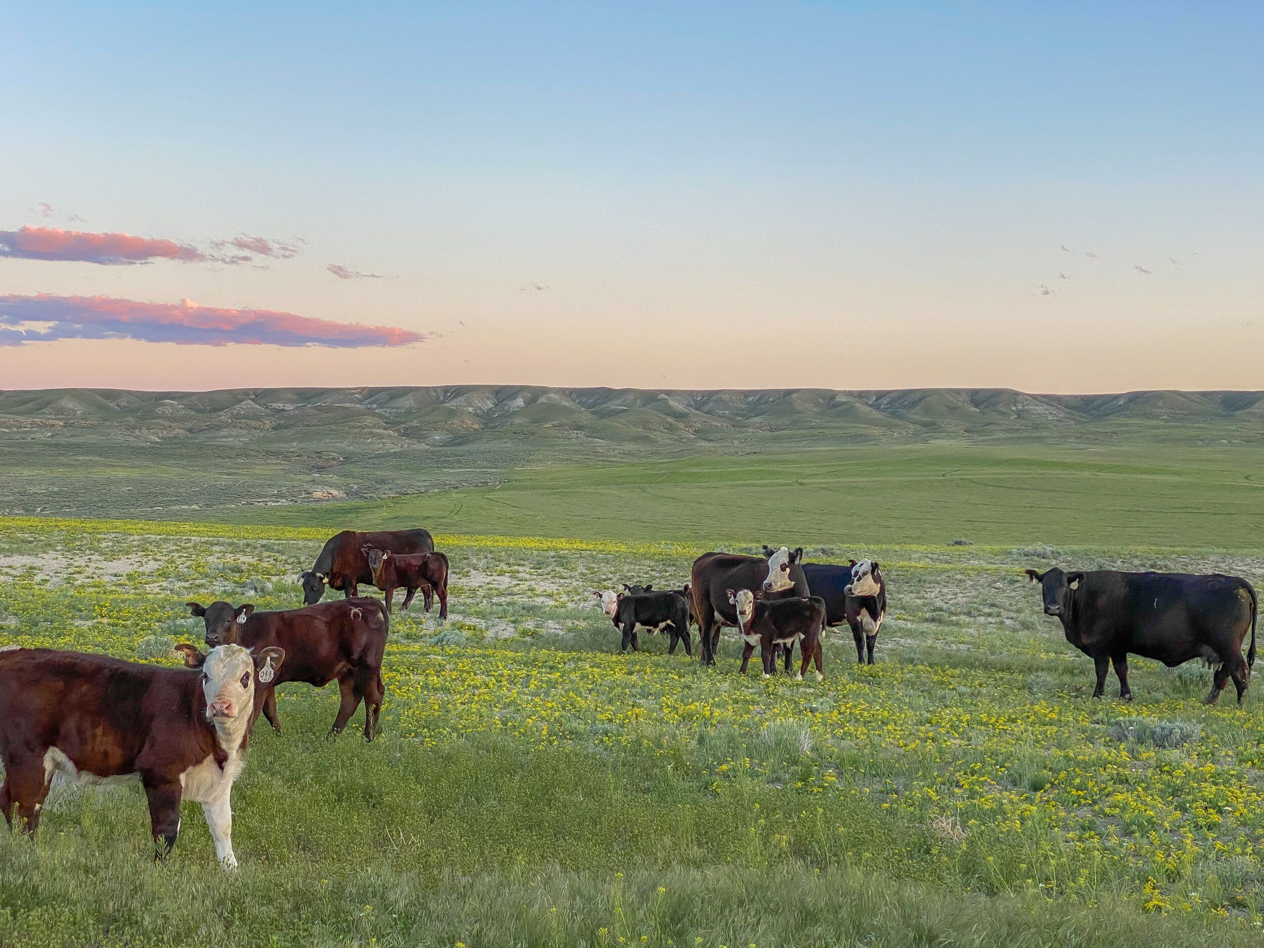 361 Two Valley Road, Riverton, WY 82501 | LandWatch