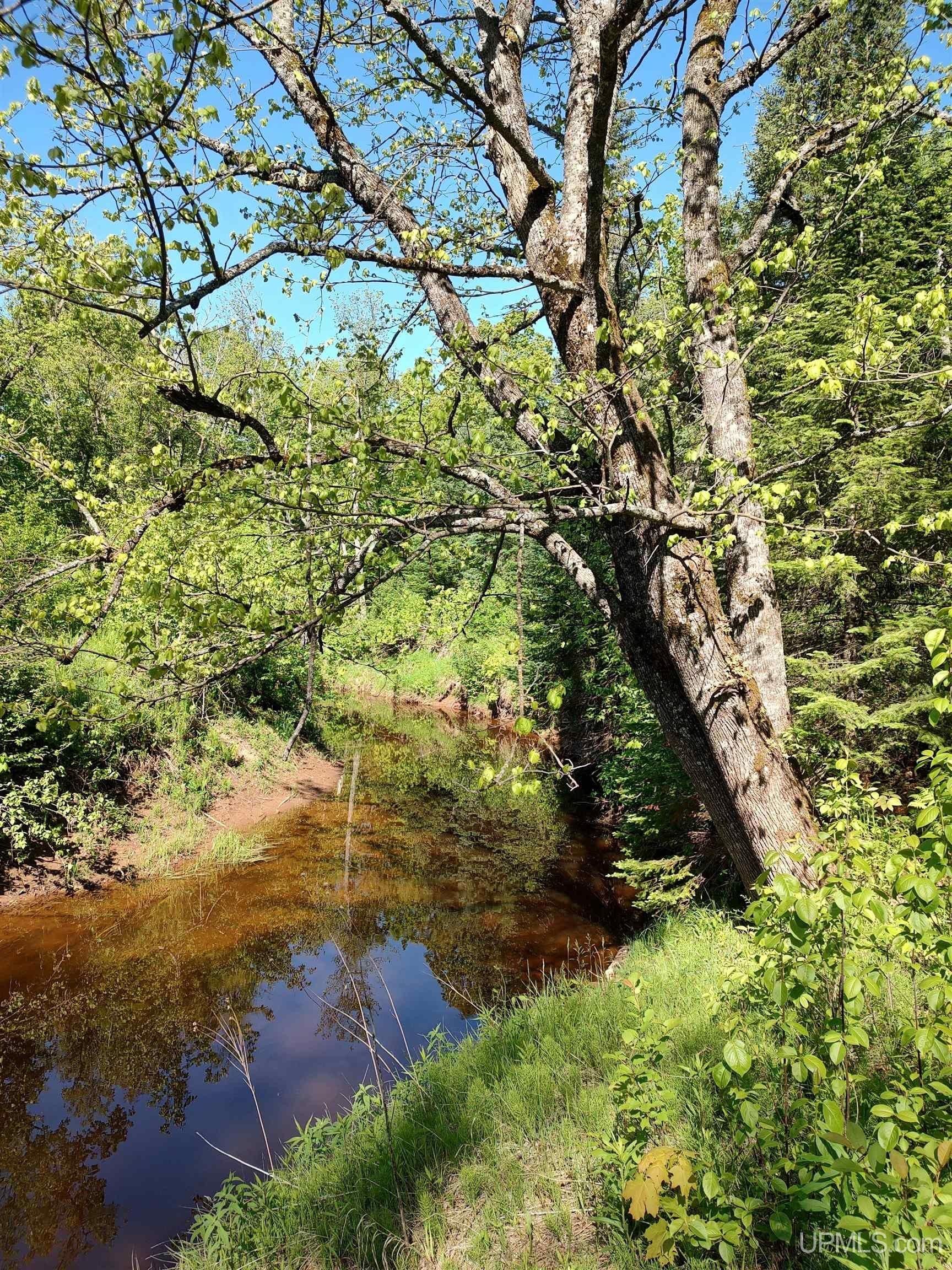 TBD M38, Ontonagon, MI 49953 | MLS: 50143947 | LandWatch