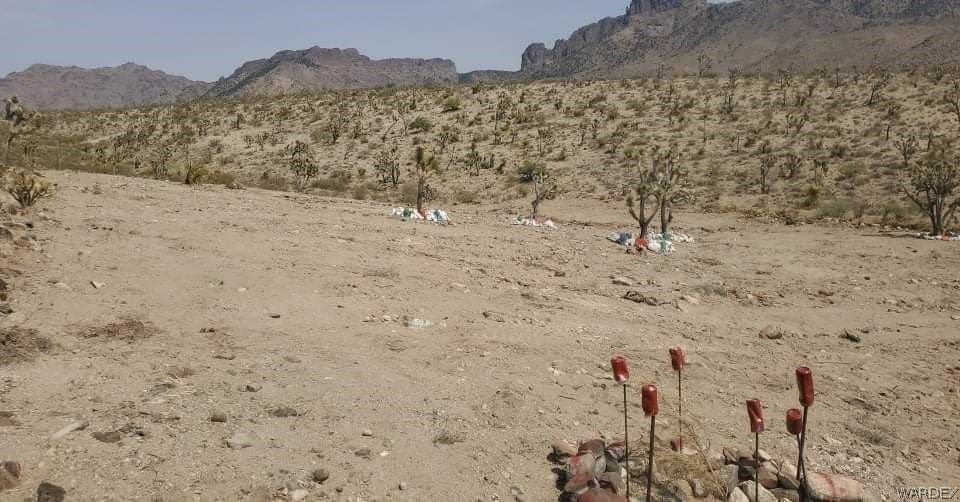 17032 N Mead Drive, Dolan Springs, AZ 86441 | MLS: 014973 | LandWatch