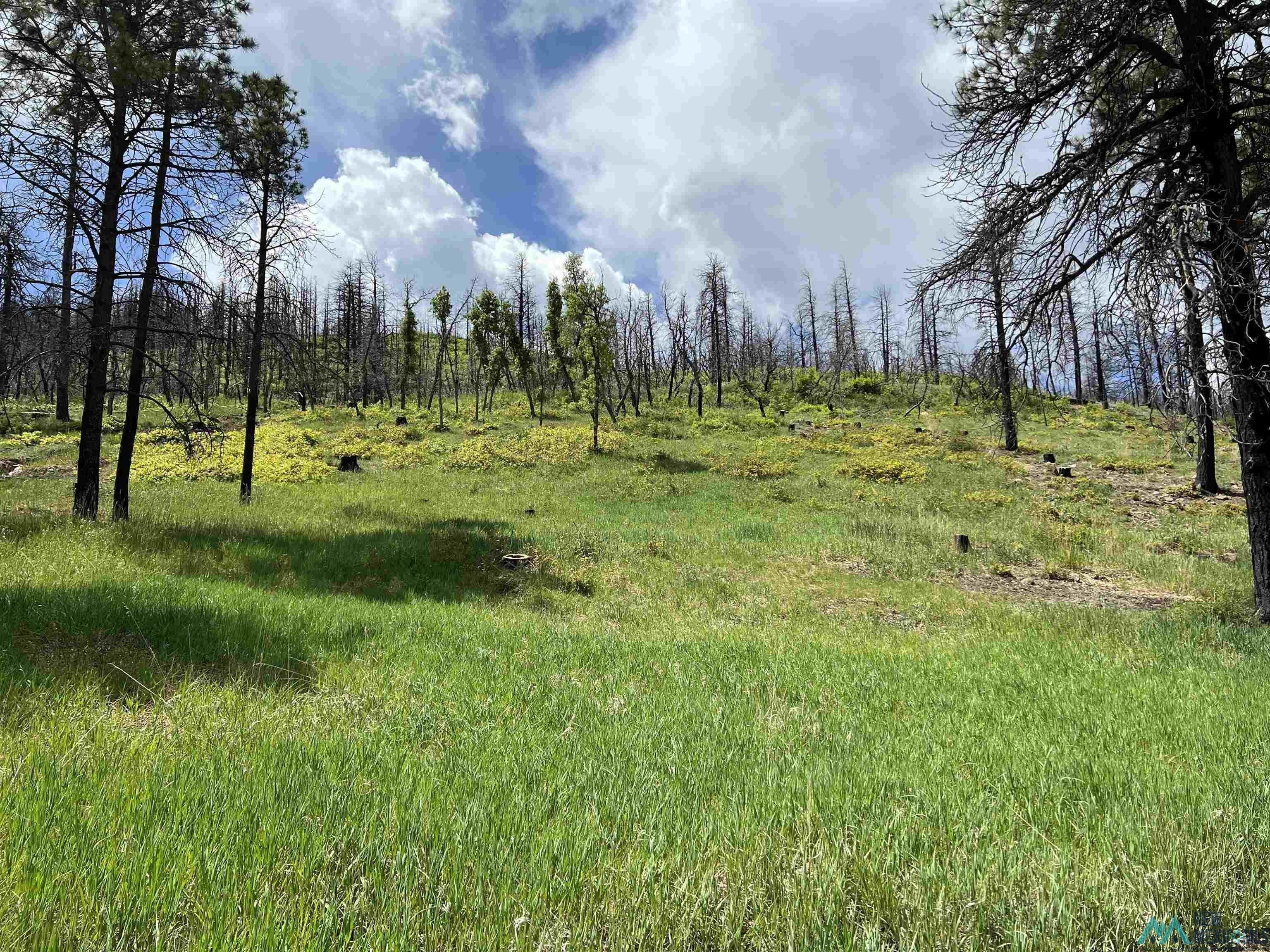 181 & 182 Consuelo Court, Rociada, NM 87742 | MLS: 20243199 | LandWatch