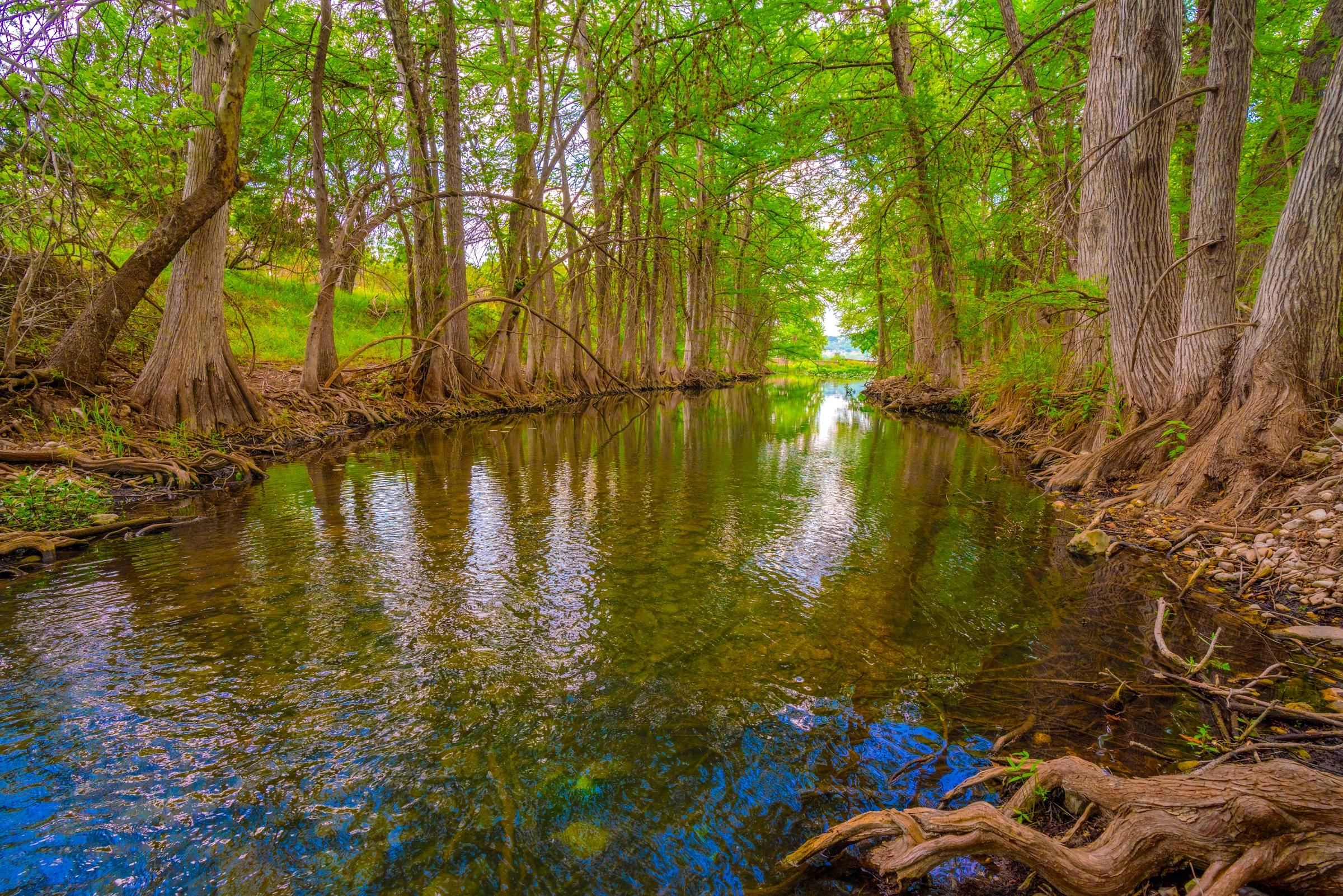 Hunt, Kerr County, TX Farms and Ranches, Recreational Property, Hunting ...