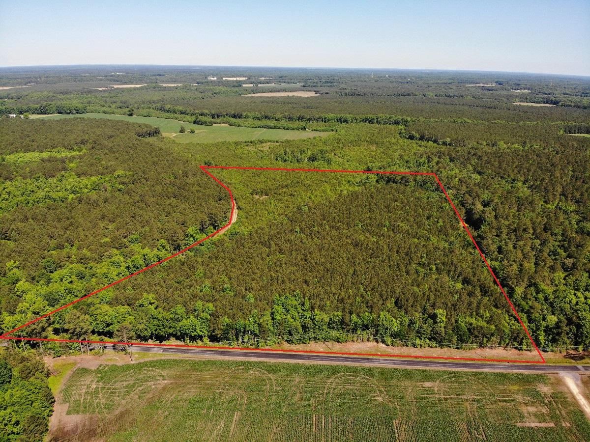 22 acres in Elberon, VA, 23846 | MLS: B698 22-ac. HLV Tract 1 | LandWatch