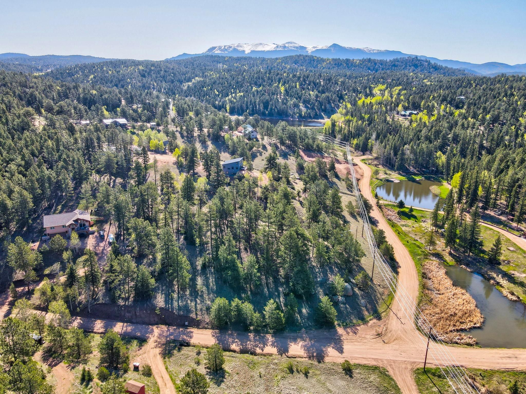 298 Pinewood Road, Florissant, CO 80816 | MLS: 2526979 | LandWatch