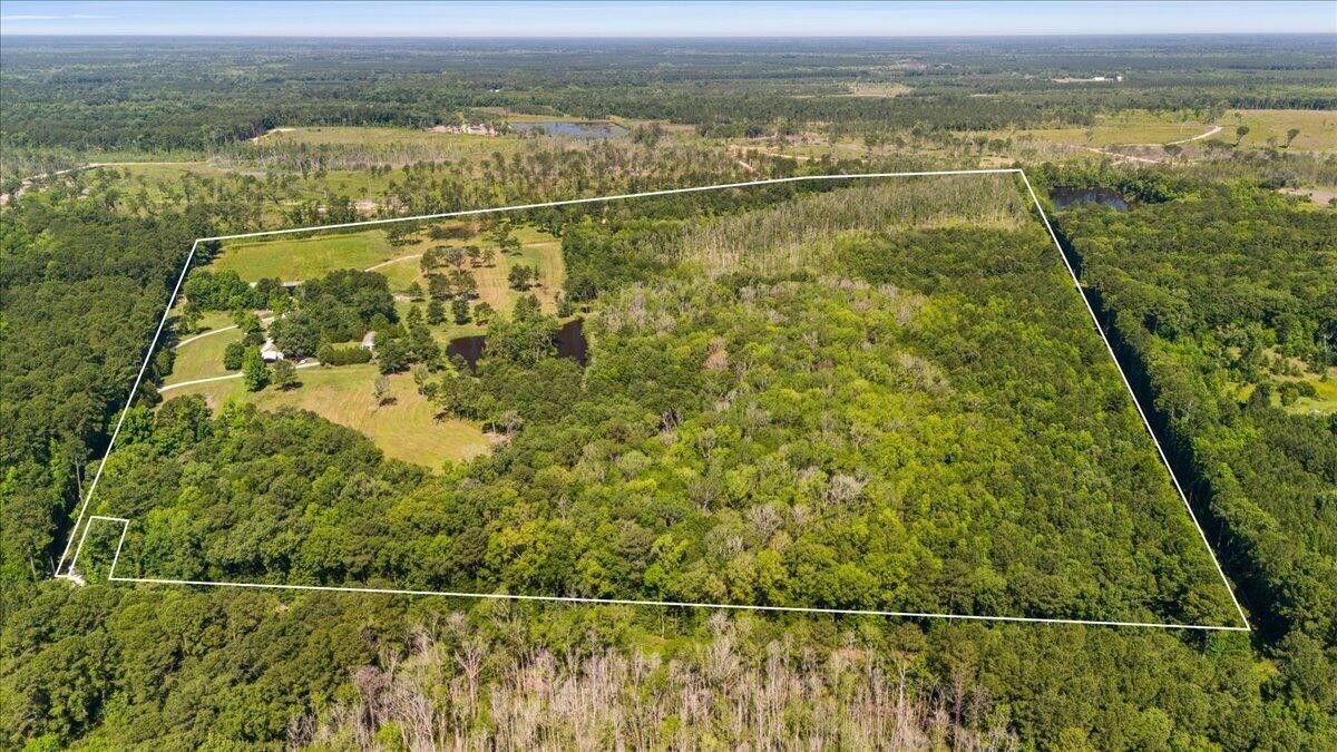 6397 Spring Grove Road, Adams Run, SC 29426 | MLS: 23024639 | LandWatch