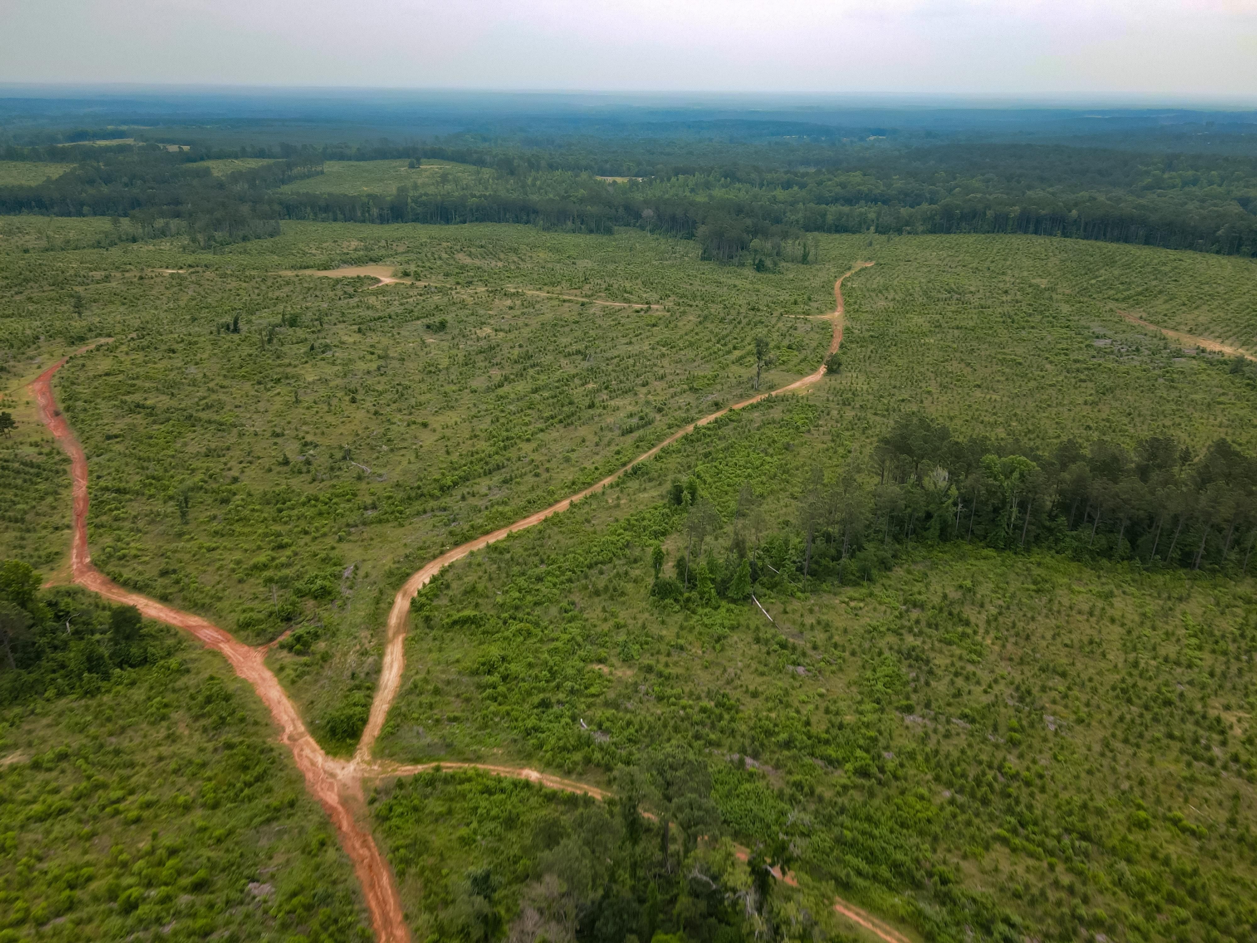 412 acres in Smithland, TX, 75657 | LandWatch