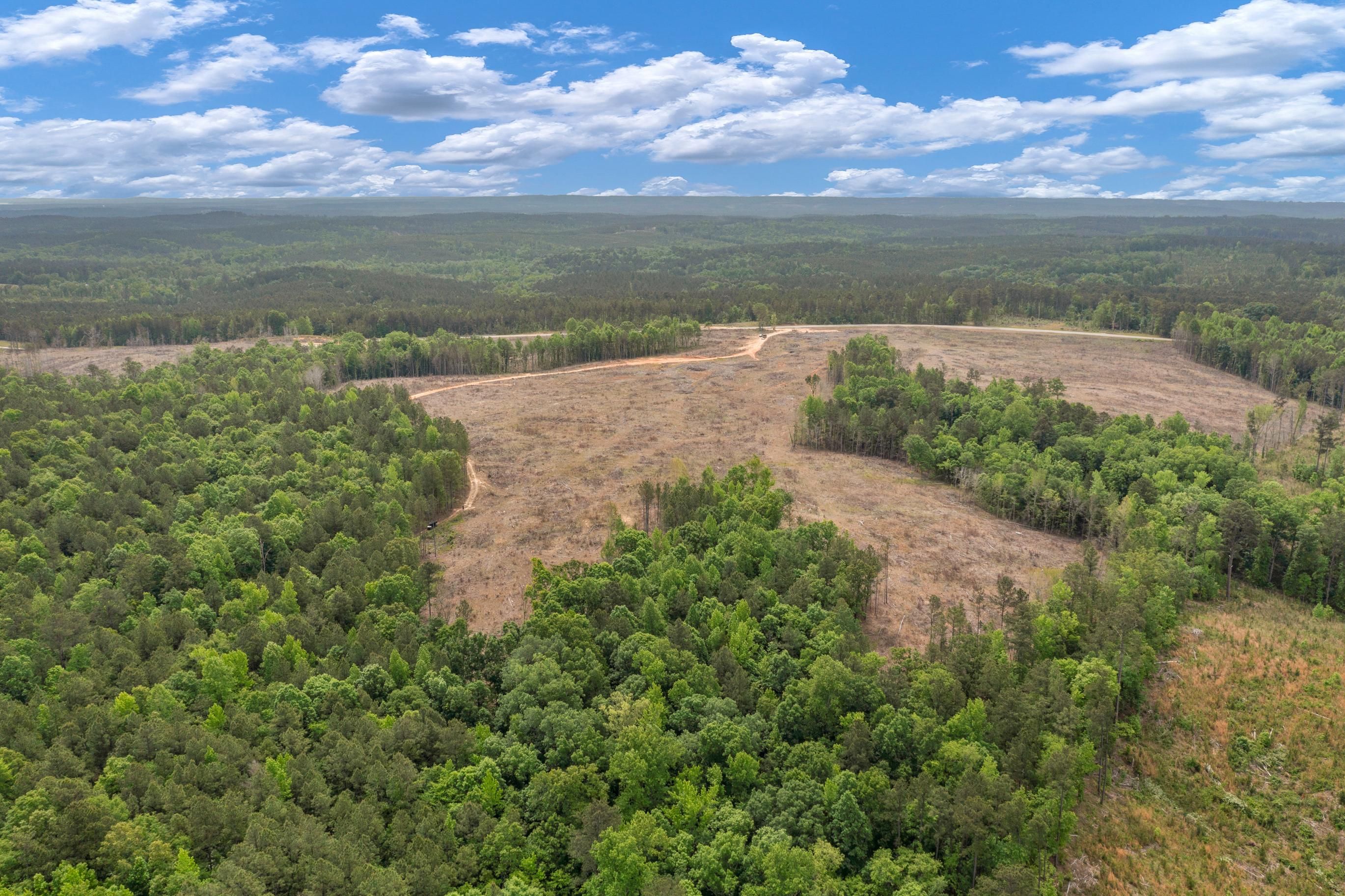 93 acres in Winnsboro, SC, 29180 | MLS: 4134752 | LandWatch