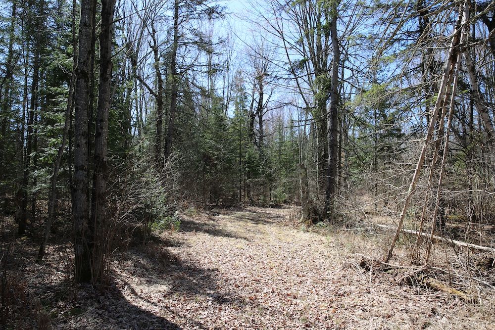 State Highway 13, Fifield, WI 54524 | LandWatch