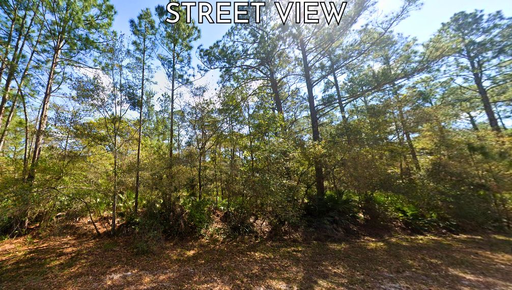 110 Oak Dr, Georgetown, FL 32139 | LandWatch
