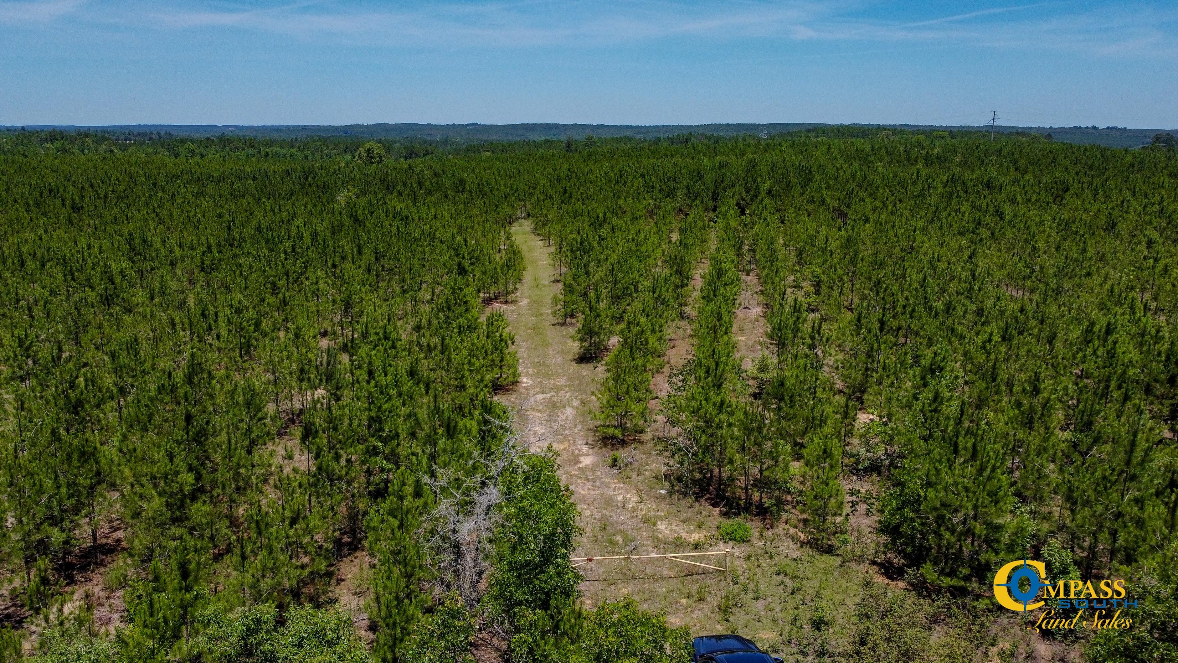 79.62 acres in Butler, GA, 31006 | LandWatch