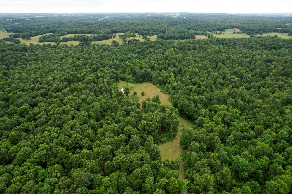 0000 Oregon County 255, Thayer, MO 65791 | MLS: Oregon 63 | LandWatch