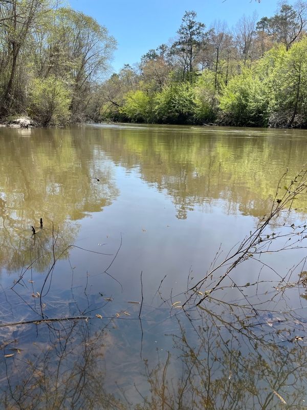 Barton Rd, Wing, AL 36483 | LandWatch