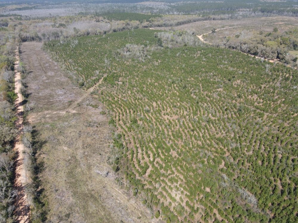 Beda Rd, Wing, AL 36483 | LandWatch