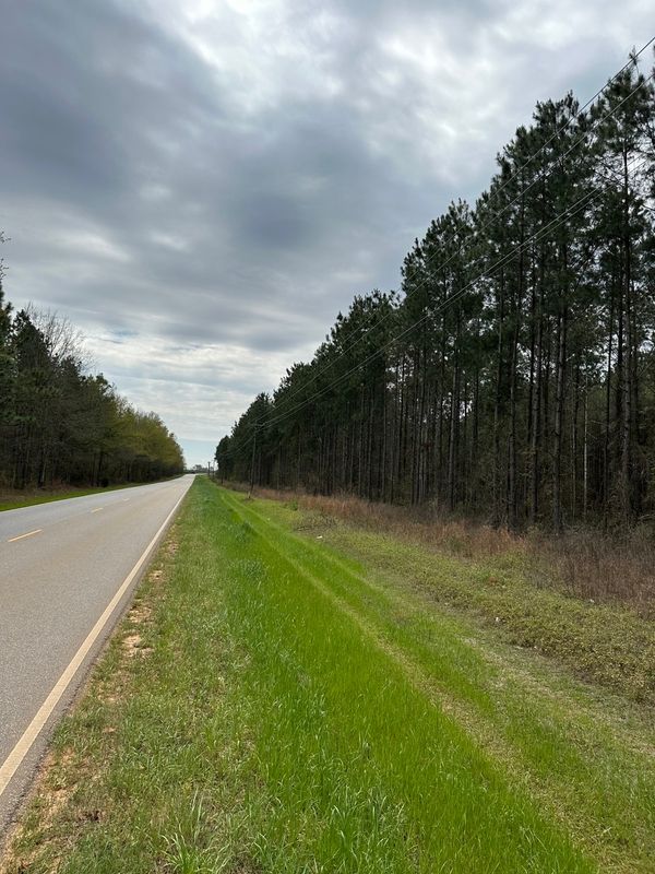 Butler St, Atmore, AL 36502 | LandWatch