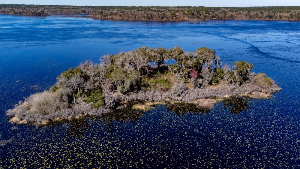 Vacant Little Twin Island, Tallahassee, FL 32312 | LandWatch