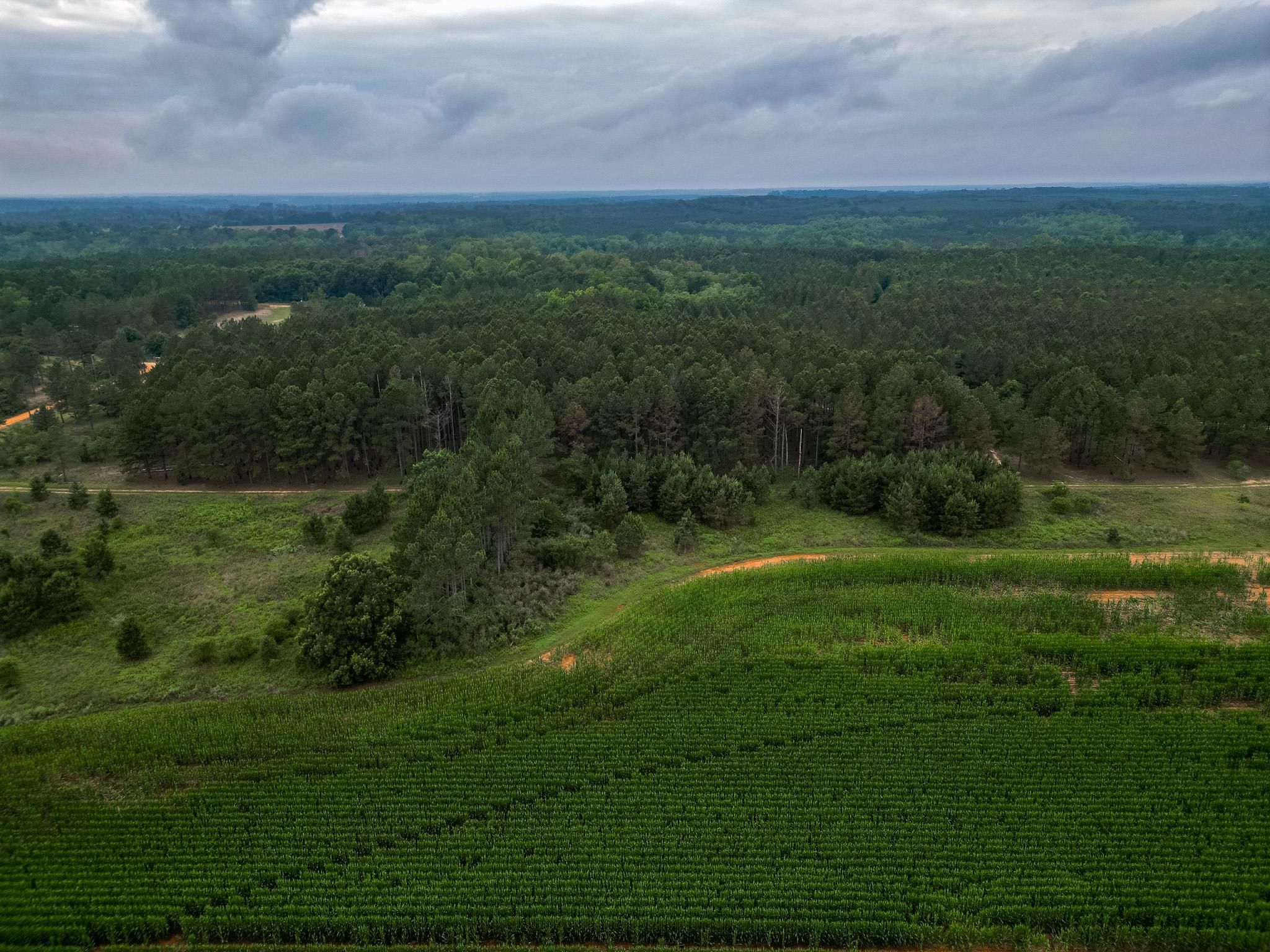 Harden Road, Preston, GA 31824 | LandWatch