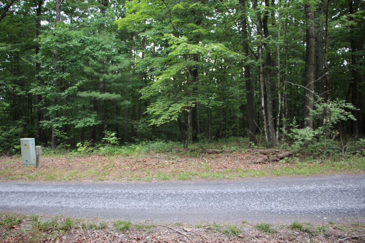 Sarah Lane, Lot#WP001, Basye, VA 22810 | MLS: VASH2008802 | LandWatch