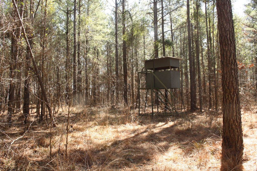 Fallis Road, Lot#WP001, Double Wells, AR 71603 | LandWatch