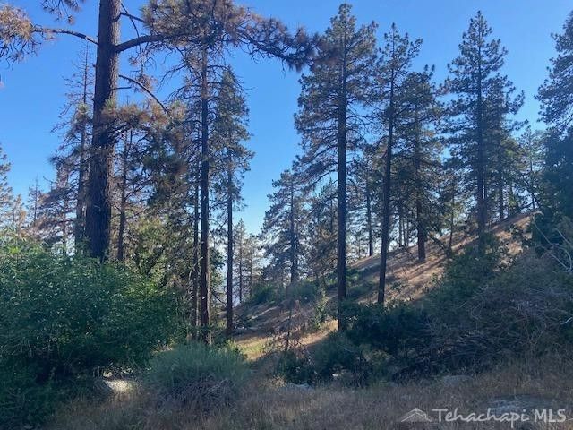 26281 Paramount Drive, Tehachapi, CA 93561 | MLS: 9991146 | LandWatch