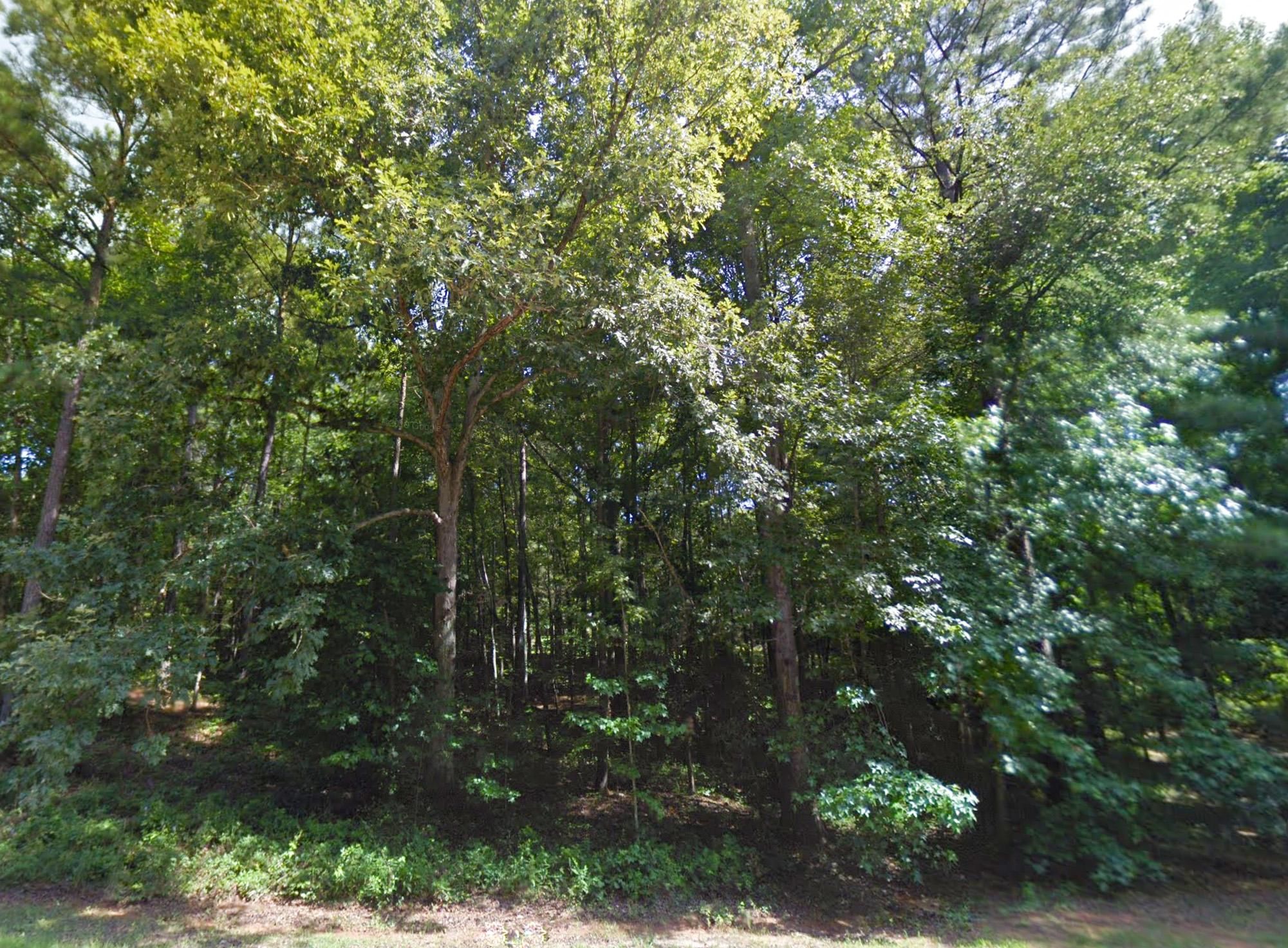 Island Shoals Rd, Covington, GA 30016 | LandWatch