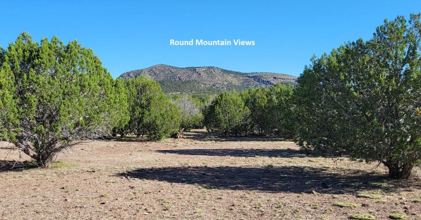 Historic Route 66, Williams, AZ 86046 | LandWatch