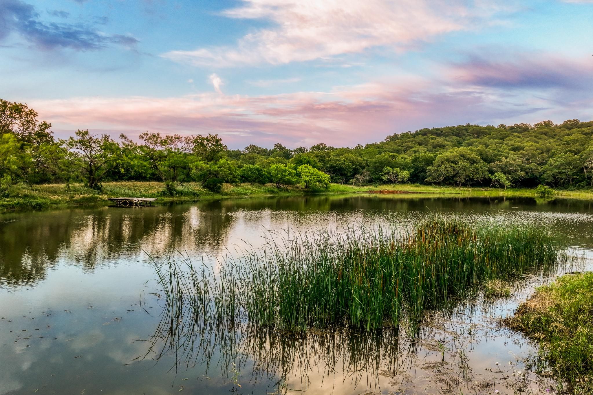 7638 FM 1191, Jermyn, TX 76459 | MLS: 20637881 | LandWatch