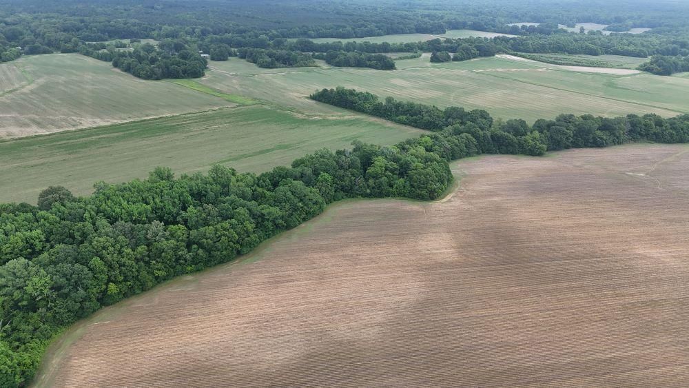 195.57 acres in Tchula, MS, 39169 | LandWatch