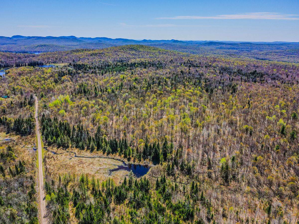 0 Mushtare Road, Lot#WP001, Saint Regis Falls, NY 12980 | MLS: 11285483 ...