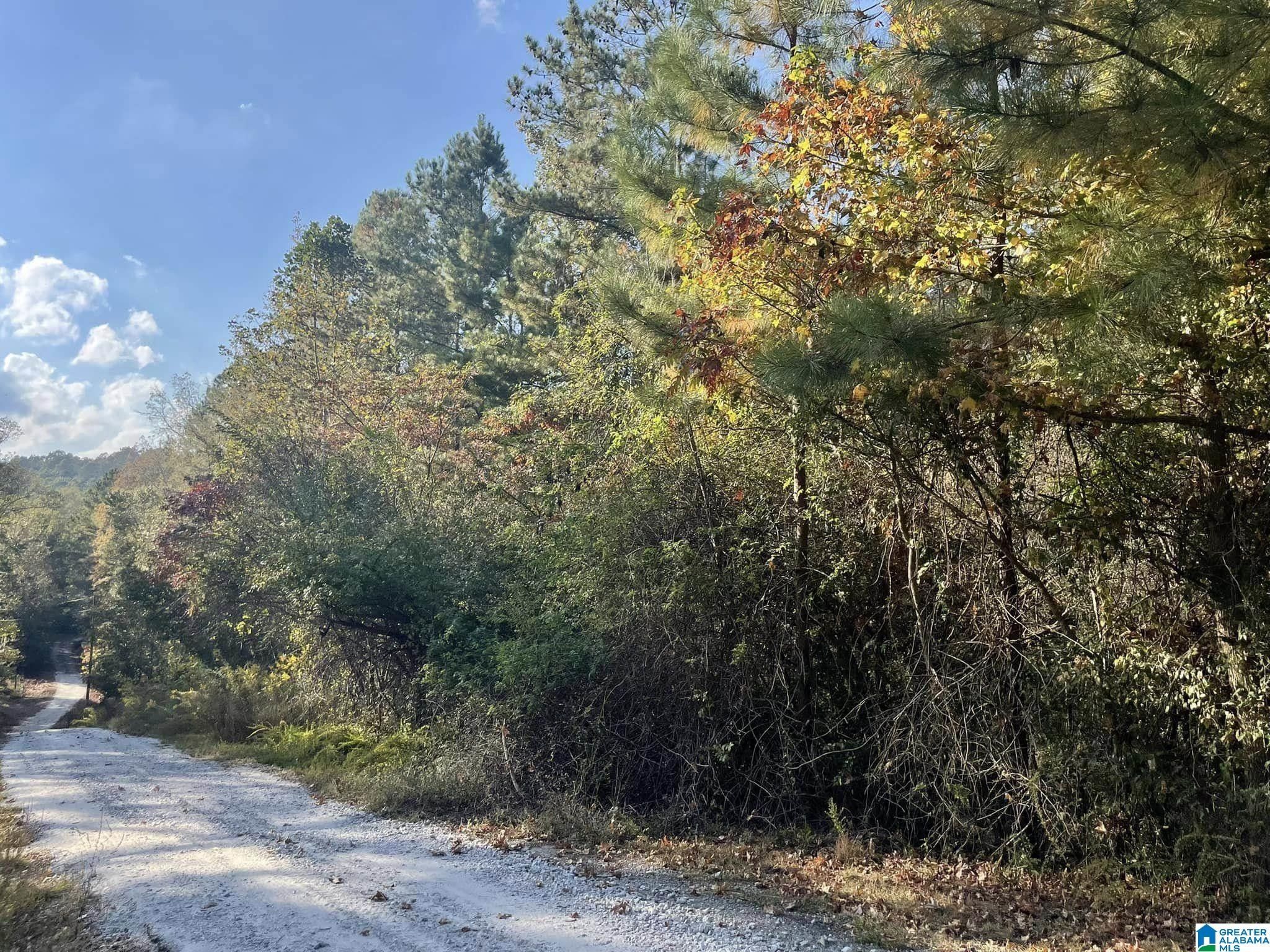COUNTY ROAD 910, Delta, AL 36258 | MLS: 1336750 | LandWatch