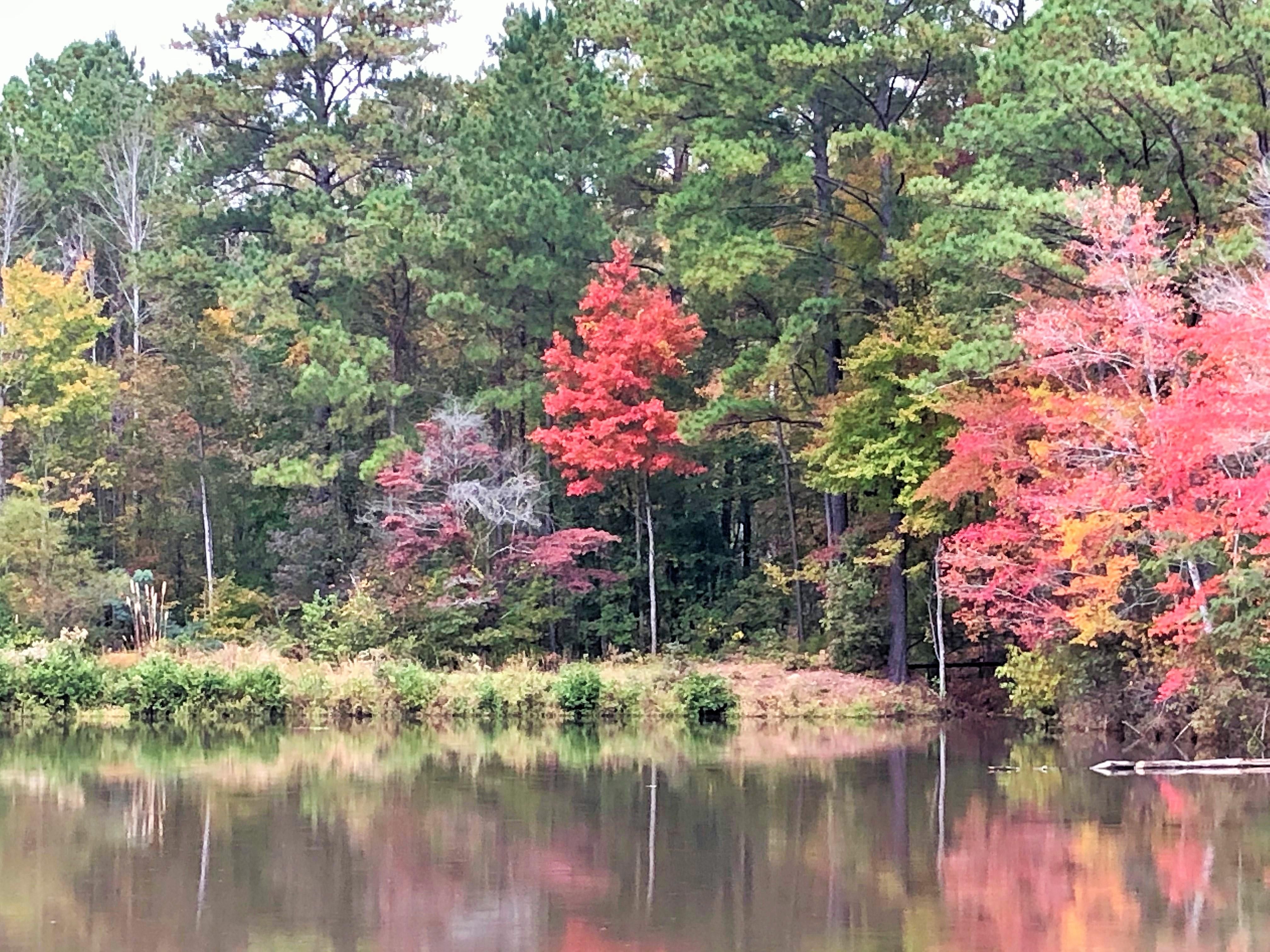 Cabin Rd, McCalla, AL 35022 | LandWatch