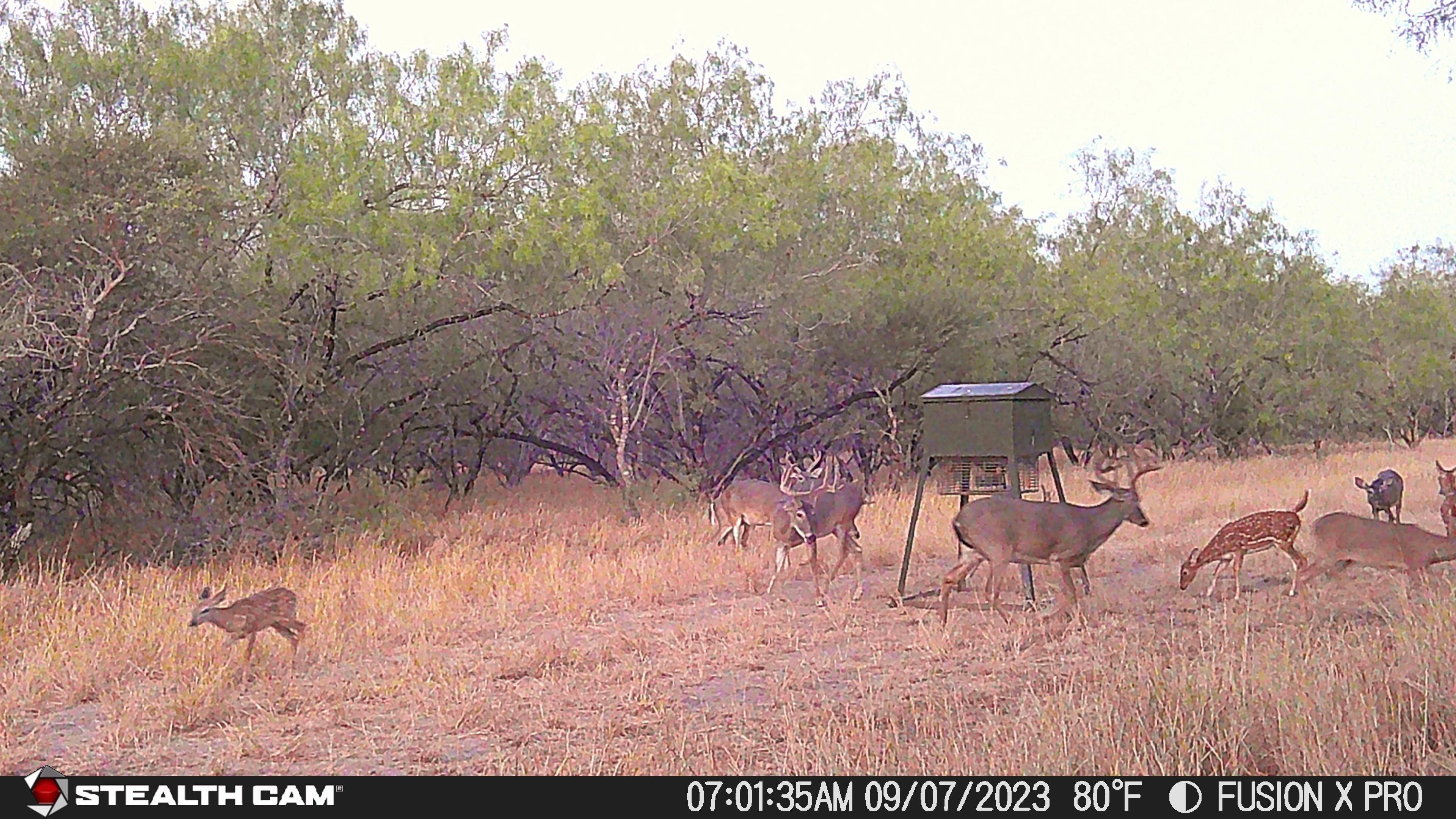 FM 2294, San Isidro, TX 78591 | LandWatch