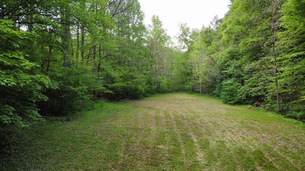 1375 Old Hwy 2, Cisco, GA 30708 | MLS: 404625 | LandWatch