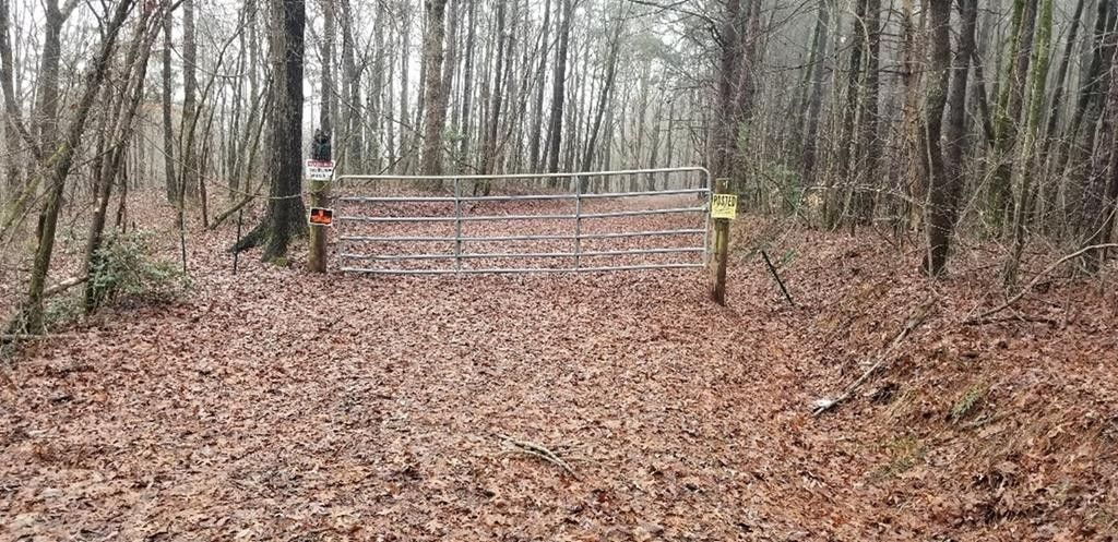 Raven Cliff Road, Talking Rock, GA 30175 | MLS: 401575 | LandWatch