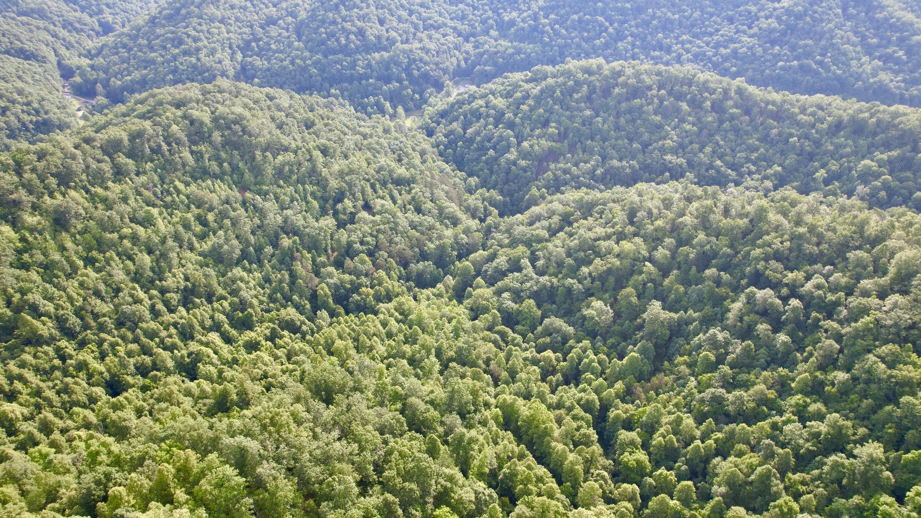 9999 Fields Fork Road, Viper, KY 41774 | MLS: 24008428 | LandWatch