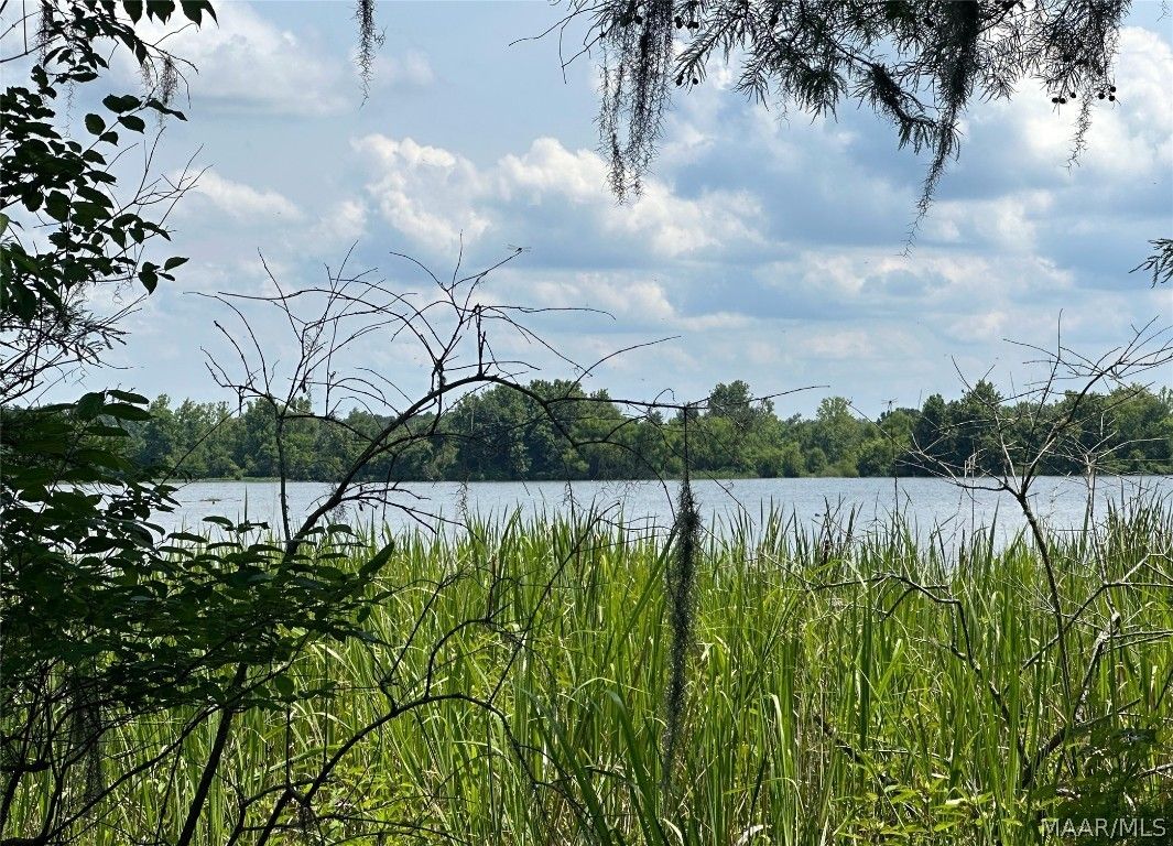 Lot 48 legacy Shores, Alberta, AL 36720 | MLS: 558866 | LandWatch