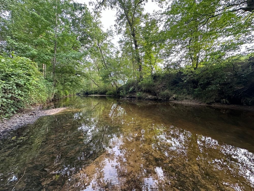 George Mill Road, Brierfield, AL 35035 | LandWatch