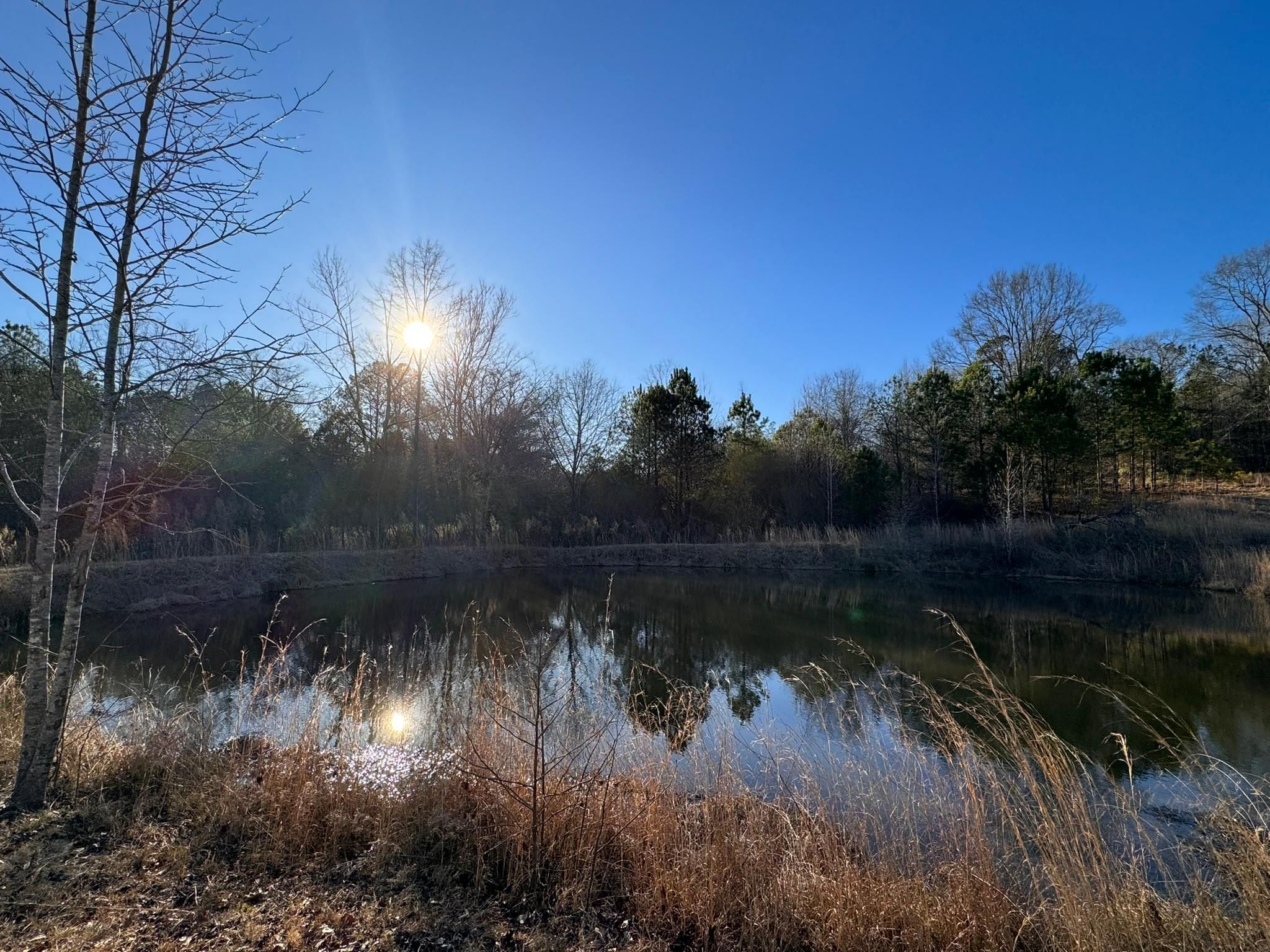 County Road 49, Winfield, AL 35594 | LandWatch